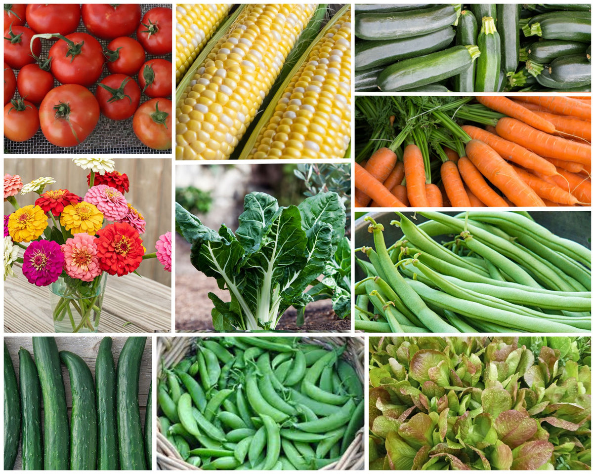 GARDEN SEED COLLECTIONS – GARDEN GIRL SEEDS - GARDEN SEEDS