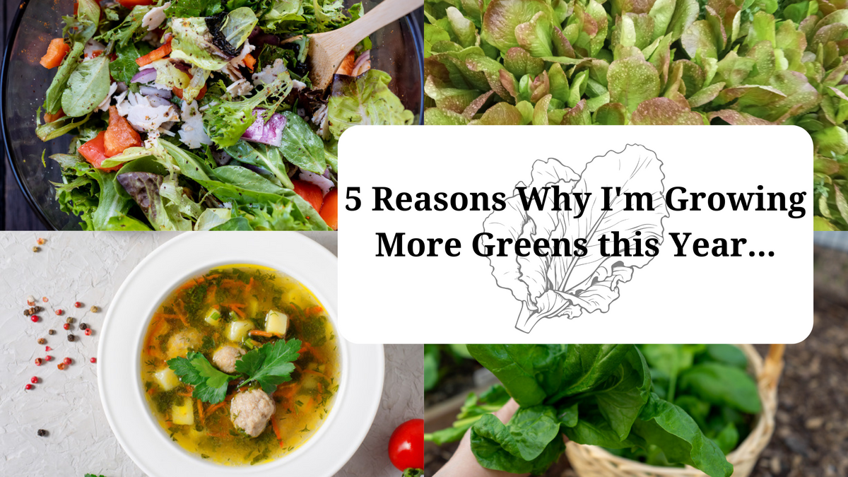 5 Reasons Why I'm Growing More Greens this Year... – GARDEN GIRL SEEDS ...